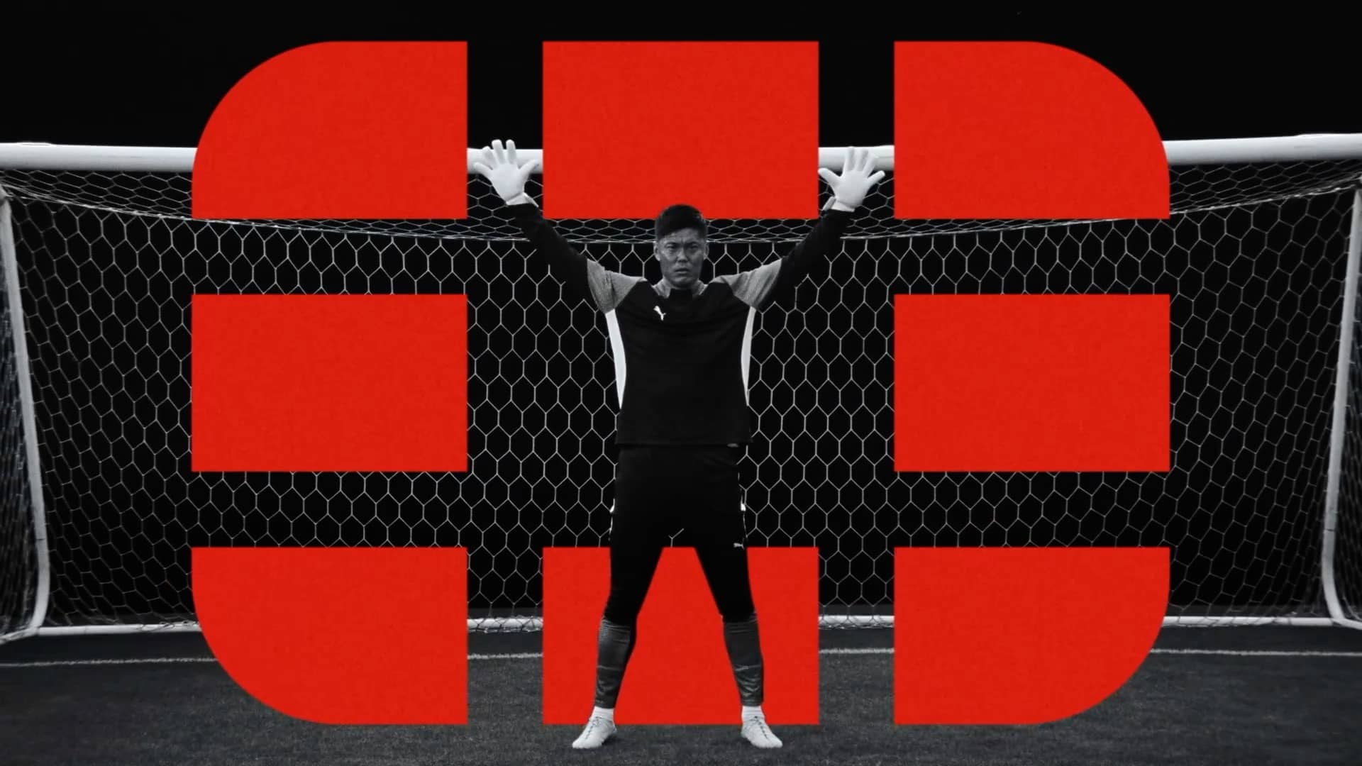 FORTINET “What is cyber security” / Fortinet, Inc. | CONNECTION | WORKS ...